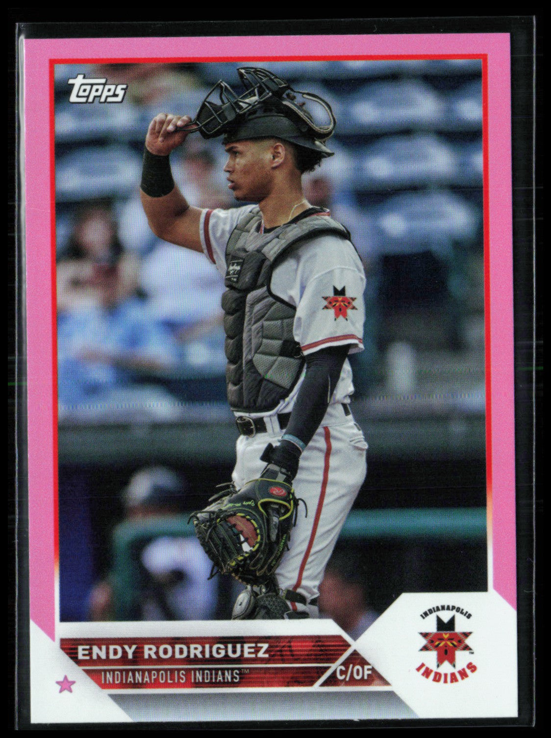 Endy Rodríguez Pink /199 – Dollar Box